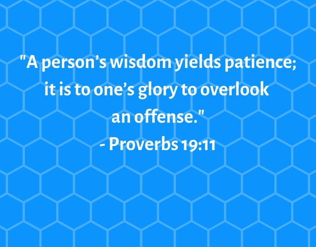 overlook-offenses-Proverbs-19-11 | Grace on Parade